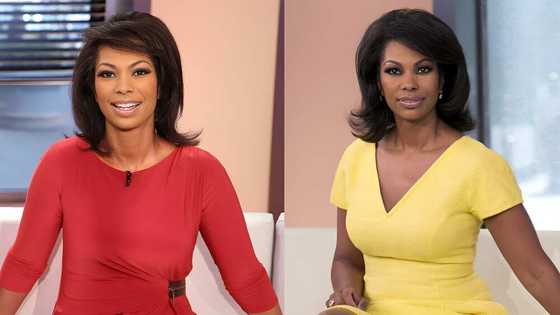 Top 25 Fox News female anchors: Most attractive presenters - Legit.ng