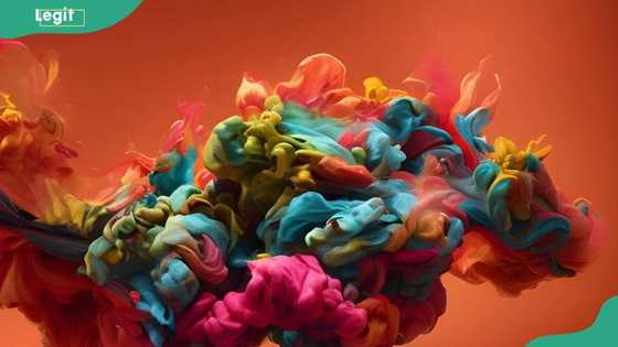 33 weird color names you probably have never heard - Legit.ng