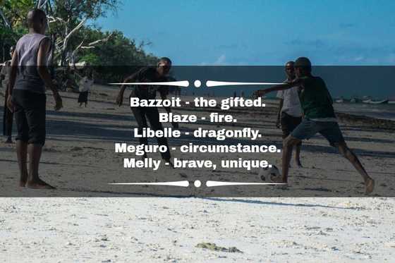 250+ cool and famous dragon names, their meanings and origin - Legit.ng