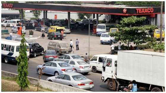 Fuel Scarcity: Commuters Stranded, Motorists Lament As Long Queues Resurface in Lagos - Legit.ng