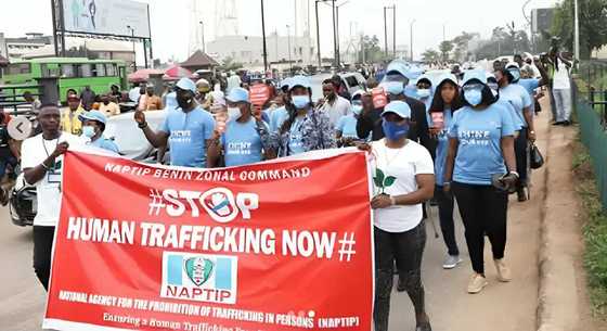 Full meaning of NAPTIP in Nigeria and its functions in 2024 - Legit.ng