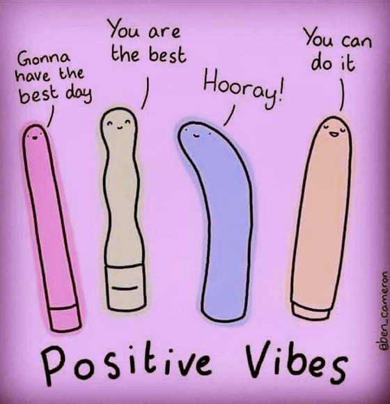 50+ ridiculous hump day meme ideas to send to your coworkers - Legit.ng