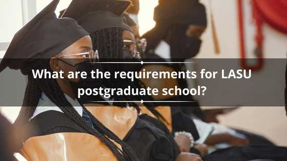 LASU portal: How to log in, register, and check results in 2026 - Legit.ng