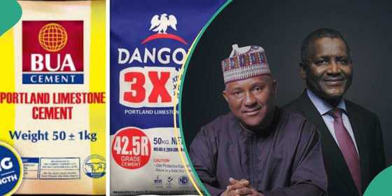 Dangote, BUA, Lafarge and More: Top 5 Cement Brands in Nigeria, Their Current Prices - Legit.ng