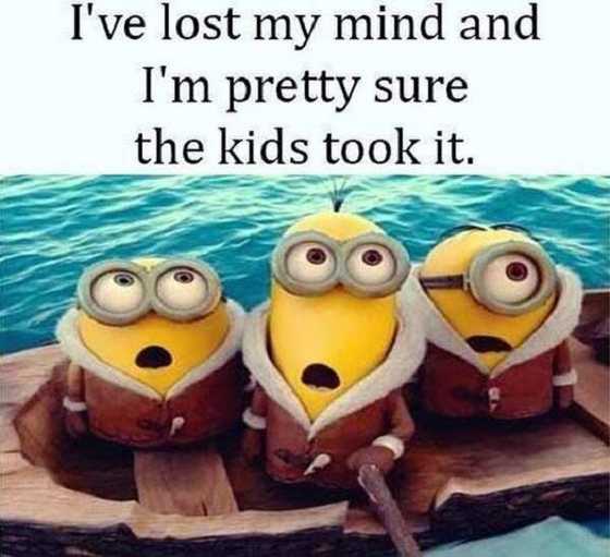 30 funniest minion memes every Facebook mom will be obsessed with ...