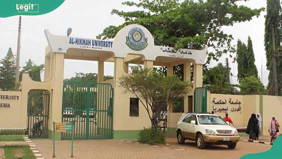 Al-Hikmah University courses, admission requirements and how to apply - Legit.ng