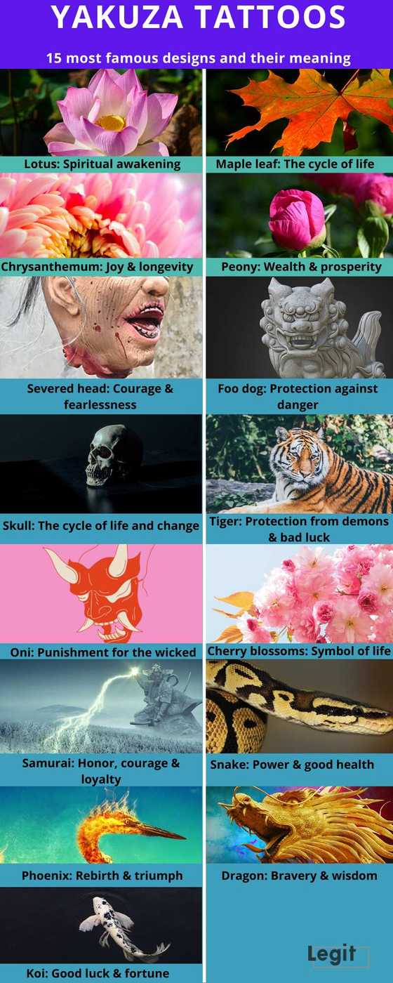 Yakuza tattoos: top 15 most famous designs and their meaning - Legit.ng