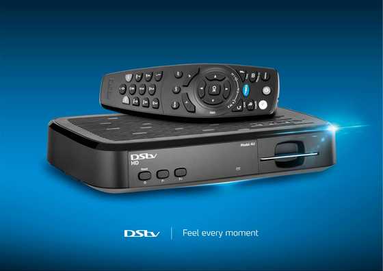 DStv Yanga channels list, complete with pricing and benefits - Legit.ng
