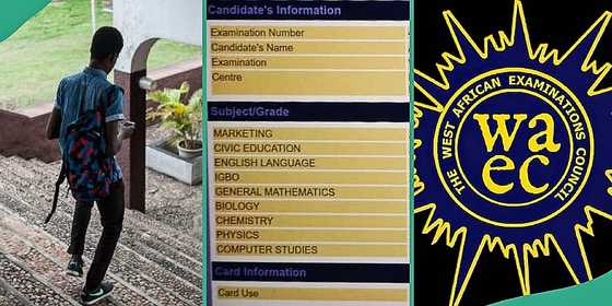 WAEC 2024: Science Student Gets A1 in Mathematics and Physics, Photo ...