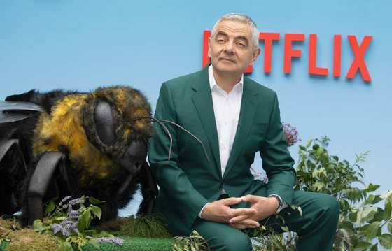 50 male comedy actors: list of the funniest men in entertainment - Legit.ng