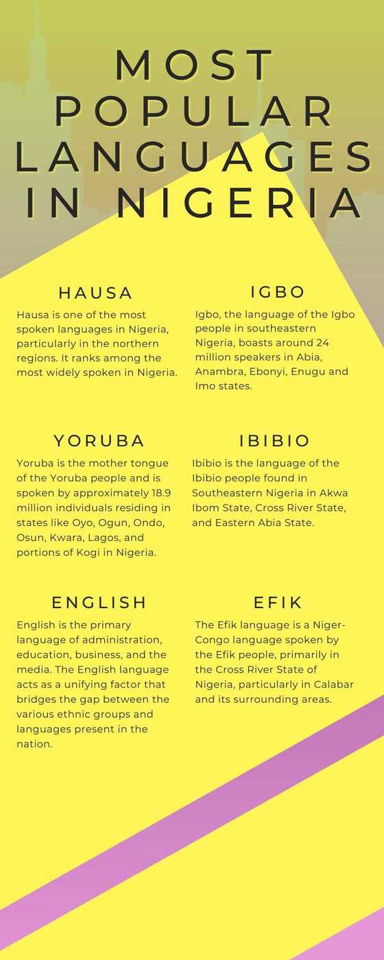 Top 15 most popular languages in Nigeria: which is the most widely ...