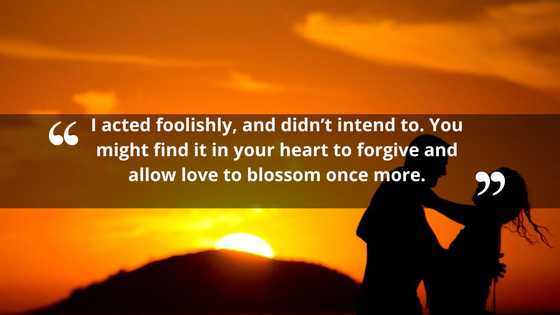 Apology messages: 170 romantic sorry messages for your love - Legit.ng
