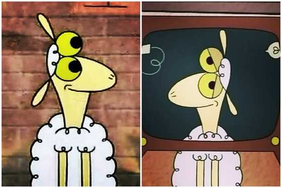 33 old 2000s cartoons: best shows to awaken your nostalgia - Legit.ng