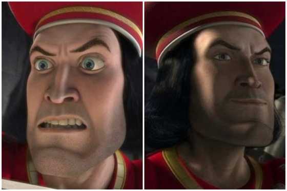 33 iconic Shrek characters every fan of the franchise will remember ...