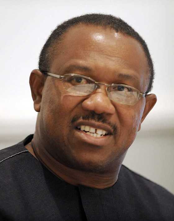 Peter Obi's biography and career: his rise to fame revealed - Legit.ng