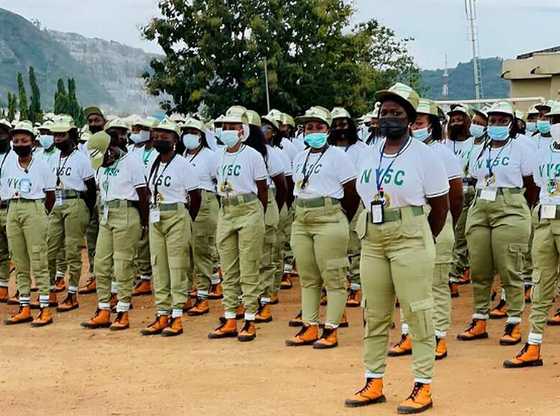 NYSC discharge certificate number: all you need to know - Legit.ng