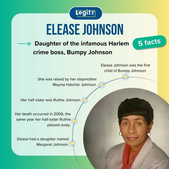 Bumpy Johnson's daughter: What happened to Elease Johnson? - Legit.ng