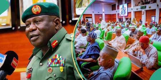 Just In: House of Reps Confirms Oluyede as Chief of Army Staff, Details Emerge - Legit.ng