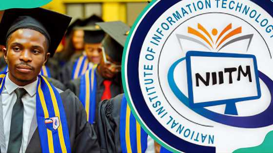 NIIT courses and fees in Nigeria: Exploring the programs offered - Legit.ng