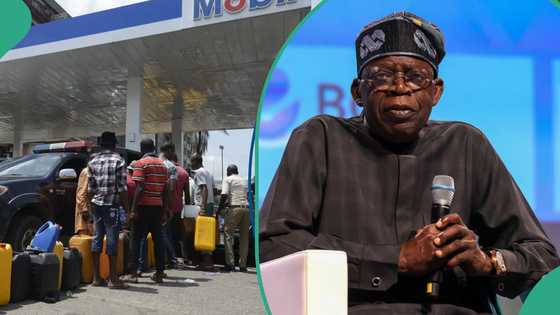 Again, Tinubu Defends Petrol Subsidy Removal, Launches CNG Priced at N230 per Litre - Legit.ng