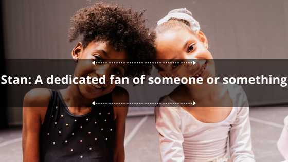 50 Gen Alpha slang words that parents and teachers have to know - Legit.ng