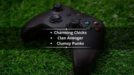 460+ unique clan names for you and your gamer friends to stand out ...