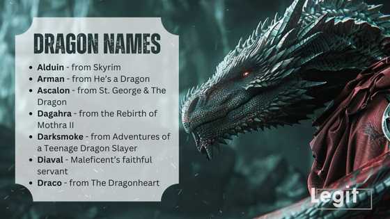250+ cool and famous dragon names, their meanings and origin - Legit.ng