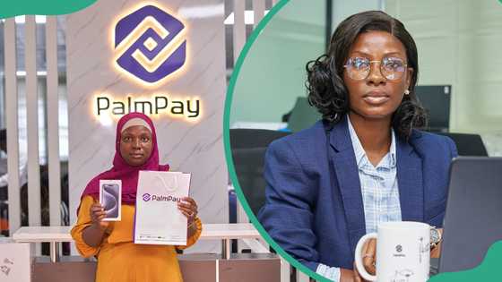 All PalmPay USSD codes for account opening, balance and transfer - Legit.ng