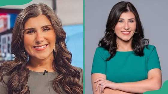 33 female ABC News reporters to be on the lookout for - Legit.ng