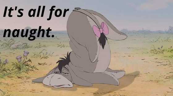 30 best Eeyore quotes that will turn your frown upside down - Legit.ng