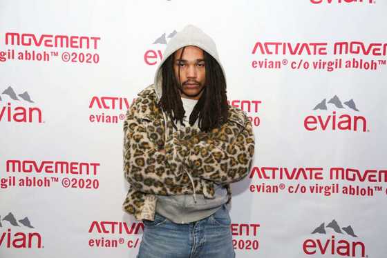 Luka Sabbat bio: age, height, parents, ethnicity, girlfriend - Legit.ng