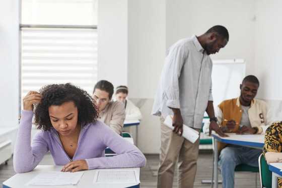 Types of teaching methods, their advantages and disadvantages - Legit.ng