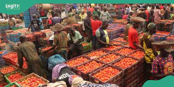 It Is Working: CBN Speaks on Strategy To Tackle Soaring 18-Year High ...