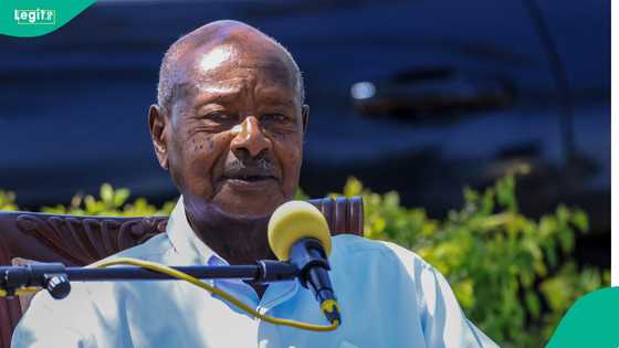 Uganda 2026: Yoweri Museveni Takes Strong Lead in Presidential Election ...