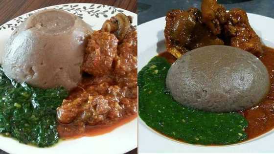 Top 10 Yoruba foods, their names, pictures, and ingredients - Legit.ng