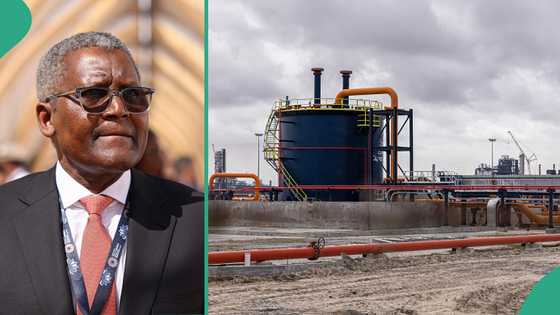 Breaking: Again, Dangote Refinery Crashes Petrol Price by N65 - Legit.ng