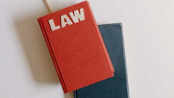 6 types of constitution: their advantages and disadvantages - Legit.ng