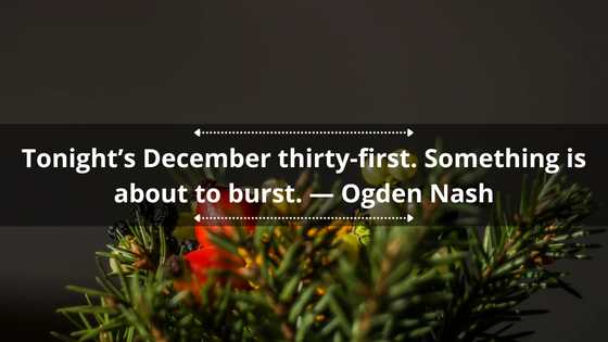 100 December quotes to inspire joy, reflection and holiday cheer - Legit.ng