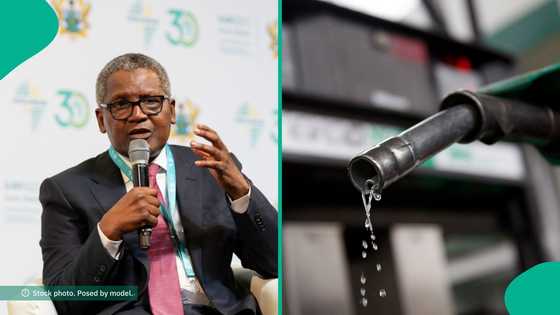 Dangote Refinery Slashes Petrol Price, Filling Stations To Adjust Pumps - Legit.ng