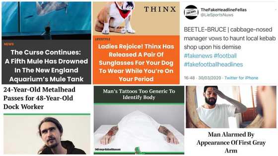 Funny fake news headlines that are sure to make you crack up - Legit.ng