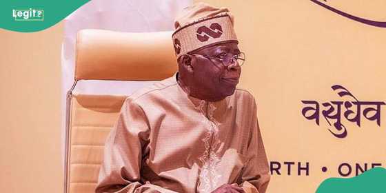 BREAKING: Full List Emerges As Tinubu Makes 14 New Appointments - Legit.ng