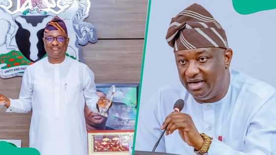 Festus Keyamo's biography: his life and background revealed - Legit.ng