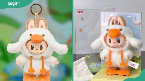 Just a toy? These 10 most expensive Labubu prove how insanely valuable ...