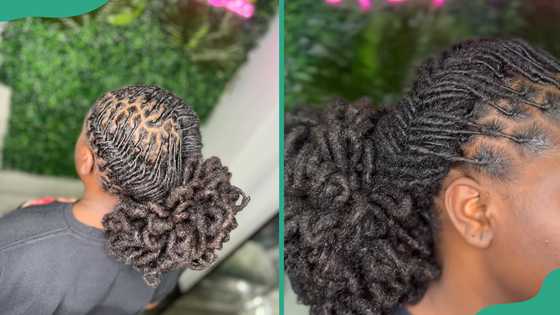 24+ updo loc styles for long, medium or short hair you must try soon ...