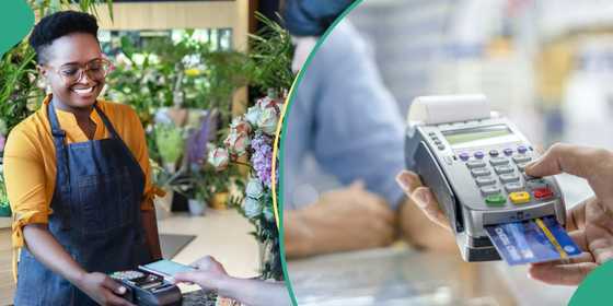 Opay, PalmPay, Others Process N46.6 Trillion as List Shows CBN-Approved ...