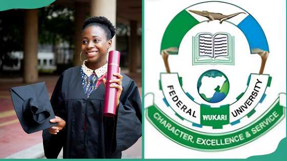 Federal University Wukari admission portal: how to log in, apply, check ...