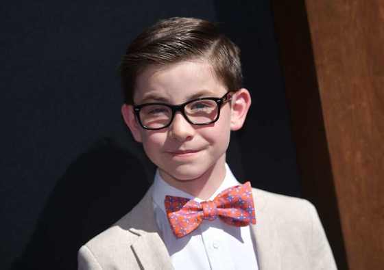 33 most popular teen actors today in Hollywood and beyond - Legit.ng