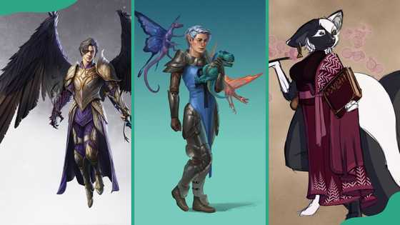 Pathfinder Races: all the races in pathfinder and their capabilities ...