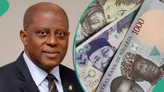 Naira Weakens in Official Market, Loses 41% amid CBN Reforms - Legit.ng
