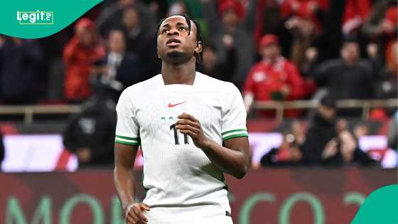 AFCON 2025: Super Eagles to Face Egypt in 3rd Place Match After Losing ...